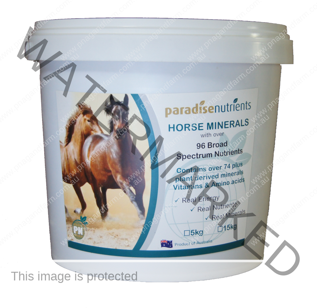 PN Horse Minerals - Backyard Chicken